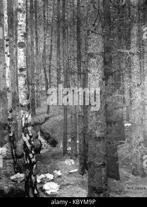 Wilhelm Franz Jäger (1861-1928) was a German artist, best known for his ...