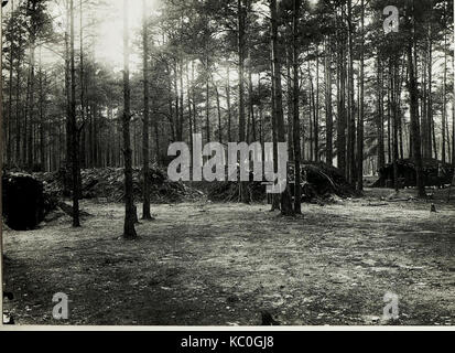 Russian Cossack soldiers, eastern front, WW1 Stock Photo - Alamy