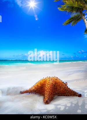 Art Beautiful Caribbean island beach Stock Photo - Alamy