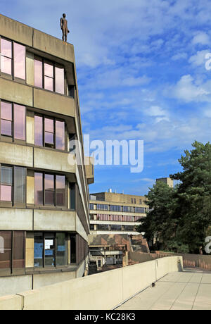 Gormley sculpture UEA roof Stock Photo - Alamy