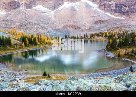 The Opabin Plateau trail above Lake O'hara, Yoho National Park, British ...