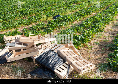 wooden crates piled next to a field Stock Photo - Alamy