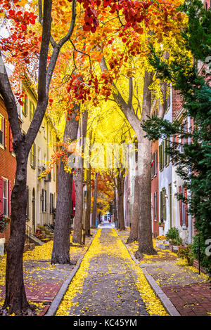 Philadelphia United States of America alley alleyway plant plants ...