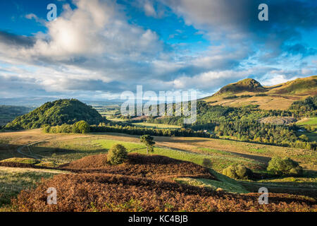 Dumgoyne Hill Campsie Hills Strathblane nr Glasgow Scotland Stock Photo ...
