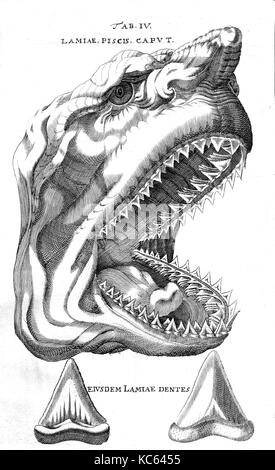 Nicolas Steno (1638-1686), Danish anatomist, geologist, and bishop ...