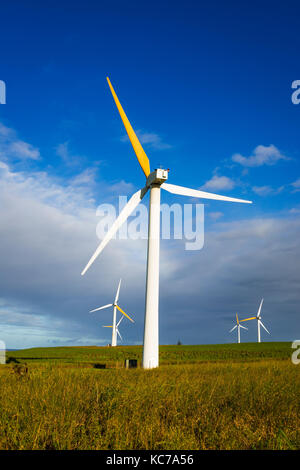 Wind turbines at the Hawi Wind Farm, Upolu Point, Hawi, The Big Island ...