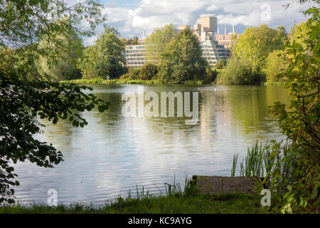 University of East Anglia Lake UEA Norwich Stock Photo - Alamy