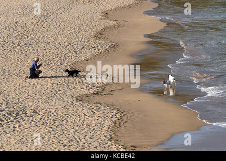 Man on Beach Barafundle Bay Pembrokeshire West Wales Stock Photo - Alamy