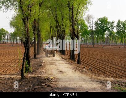 Chinese farmer on a field in front of traditional earthen house of the ...
