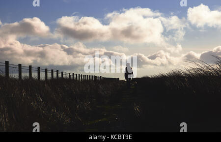 A hiker exploring the English Countryside, Muggleswick Common near ...