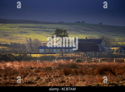 Farm buildings on Muggleswick Common near Edmundbyers, England, UK ...