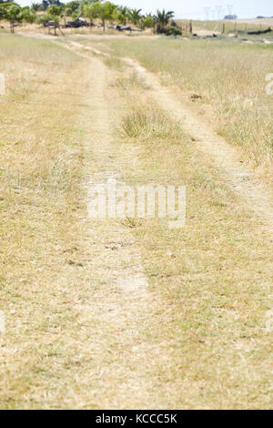 Car tracks cutting through a field of grass Stock Photo - Alamy
