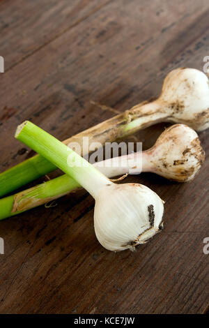 Garlic is not ripened on the stem of the leaf. Strong-smelling pungent ...