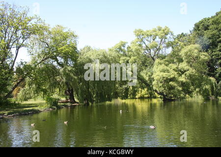 Thwaite Hall Gardens views in Cottingham, East Yorkshire Stock Photo ...