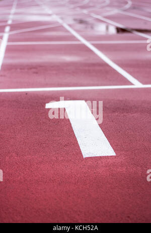 finish line concept white painted lines running race track on grass at ...