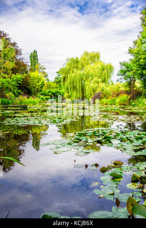 Claude Monet's 'Water Lily Pond and Weeping Willow' captures the serene ...