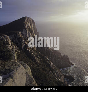 Dolerite organ pipe sea cliffs at Cape Raoul Tasman Peninsula National ...