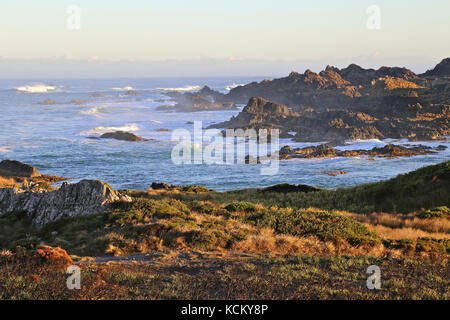 Wilderness coastline near Couta Rocks, Arthur Pieman Conservation Area ...