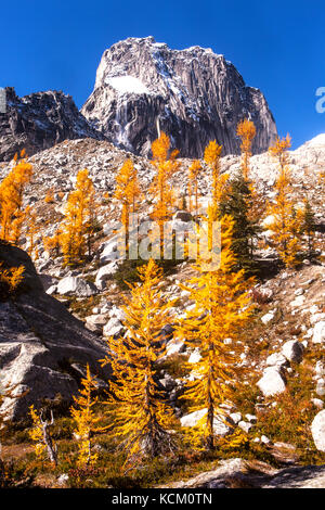 Snowpatch Spire above fall larches in Bugaboo Provincial Park, Purcell ...