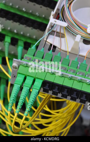 Fiber optic splice cassettes Stock Photo - Alamy