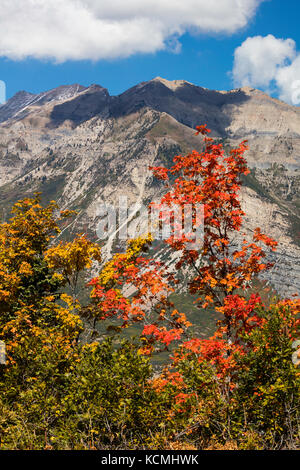Mount Timpanogos Autumn Utah Stock Photo - Alamy
