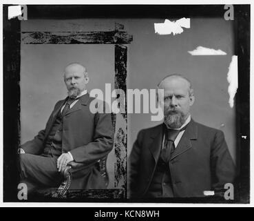For President, Grover Cleveland, for Vice-President, Adlai E. Stevenson ...