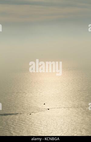 Beachy Head at sunrise in fog inversion with English channel swathed in ...