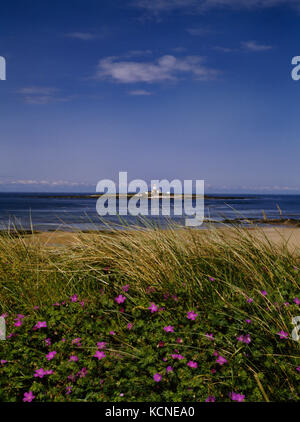 Coquet Island Lighthouse and nature reserve, Northumberland June 2025 ...