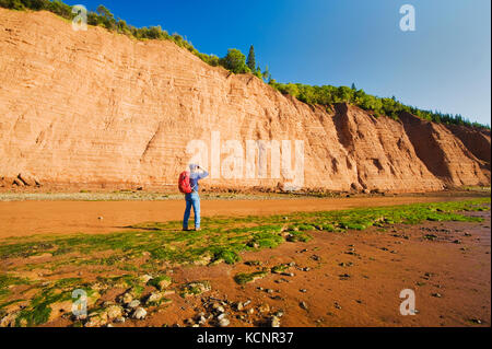 Hiker at low tide along sandstone cliffs, Cape Blomidon Provincial Park ...