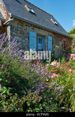 Cottage Window with Blue Shutters and Flowers Stock Photo - Alamy