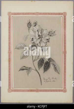 The 'Album Amicorum' is a collection of autographs, inscriptions, and ...