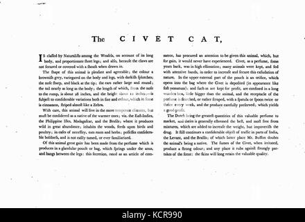 9 Charles Catton, Animals (1788) Page15 Image1 Stock Photo - Alamy