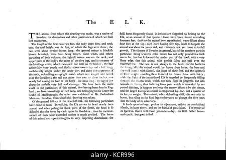 9 Charles Catton, Animals (1788) Page25 Image1 Stock Photo - Alamy
