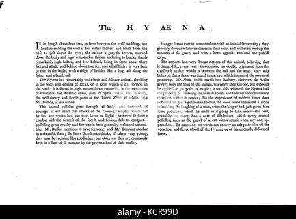 9 Charles Catton, Animals (1788) Page37 Image1 Stock Photo - Alamy