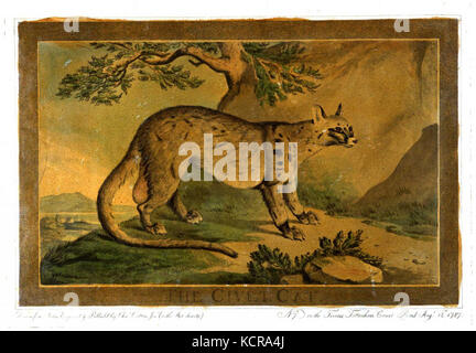 9 Charles Catton, Animals (1788) Page14 Image1 Stock Photo - Alamy