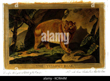 Charles Catton, Animals (1788) Page20 Image1 Stock Photo - Alamy