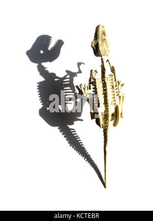 top view tyrannosaurus with shadow on a white background Stock Photo ...