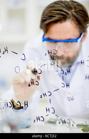 Bearded scientist in white coat working examining vegetables in ...