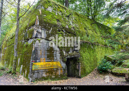Wolf's Lair, Adolf Hitler's Bunker in Poland. First Eastern Front ...