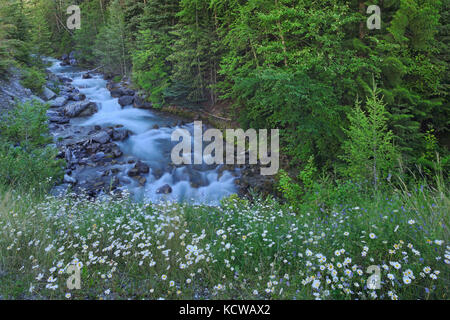 Sinclair Canyon, Kootenay National Park, British Columbia, canada Stock ...