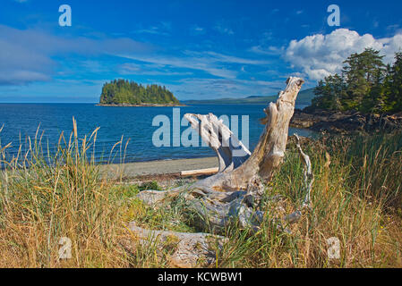 Canada, British Columbia, Graham Island. Reflections in Tlell River ...