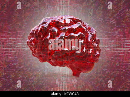 Brain anatomy, computer illustration Stock Photo - Alamy