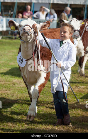 The Moreton-in-Marsh Agricultural Show taking place in Gloustershire ...