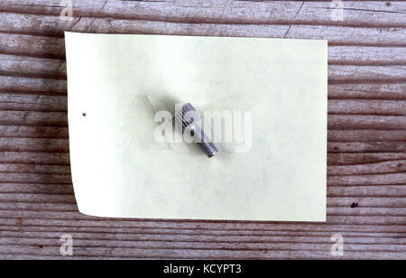 Screw with fixed with sellotape on note paper ,wood background Stock ...
