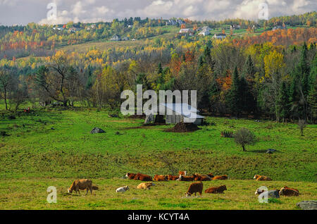 A rural Quebec home in the countryside with fall foliage color near ...