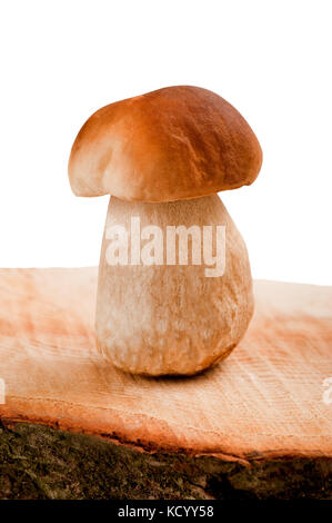 Mushrooms on wood Stock Photo - Alamy