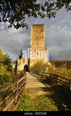 national park Thaya valley, river Thaya, side arm Stock Photo - Alamy