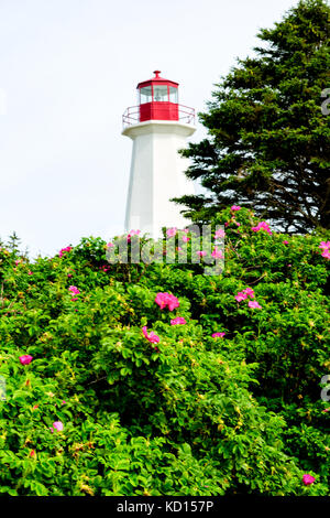 Cape George Lighthouse, Sunrise Trail, Nova Scotia, Canada Stock Photo ...