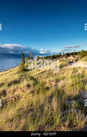 Sand Dune, Dunes Beach, Pinery Provincial Park, Ontario Stock Photo - Alamy