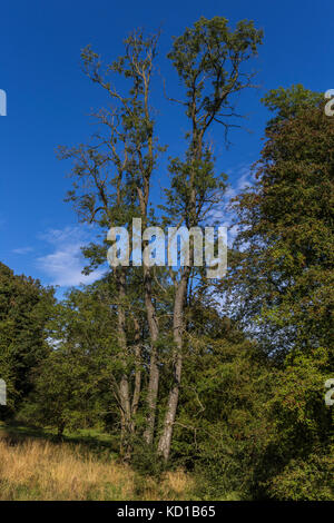 Elmley Castle. Bredon Hill. Worcestershire. England. UK Stock Photo - Alamy
